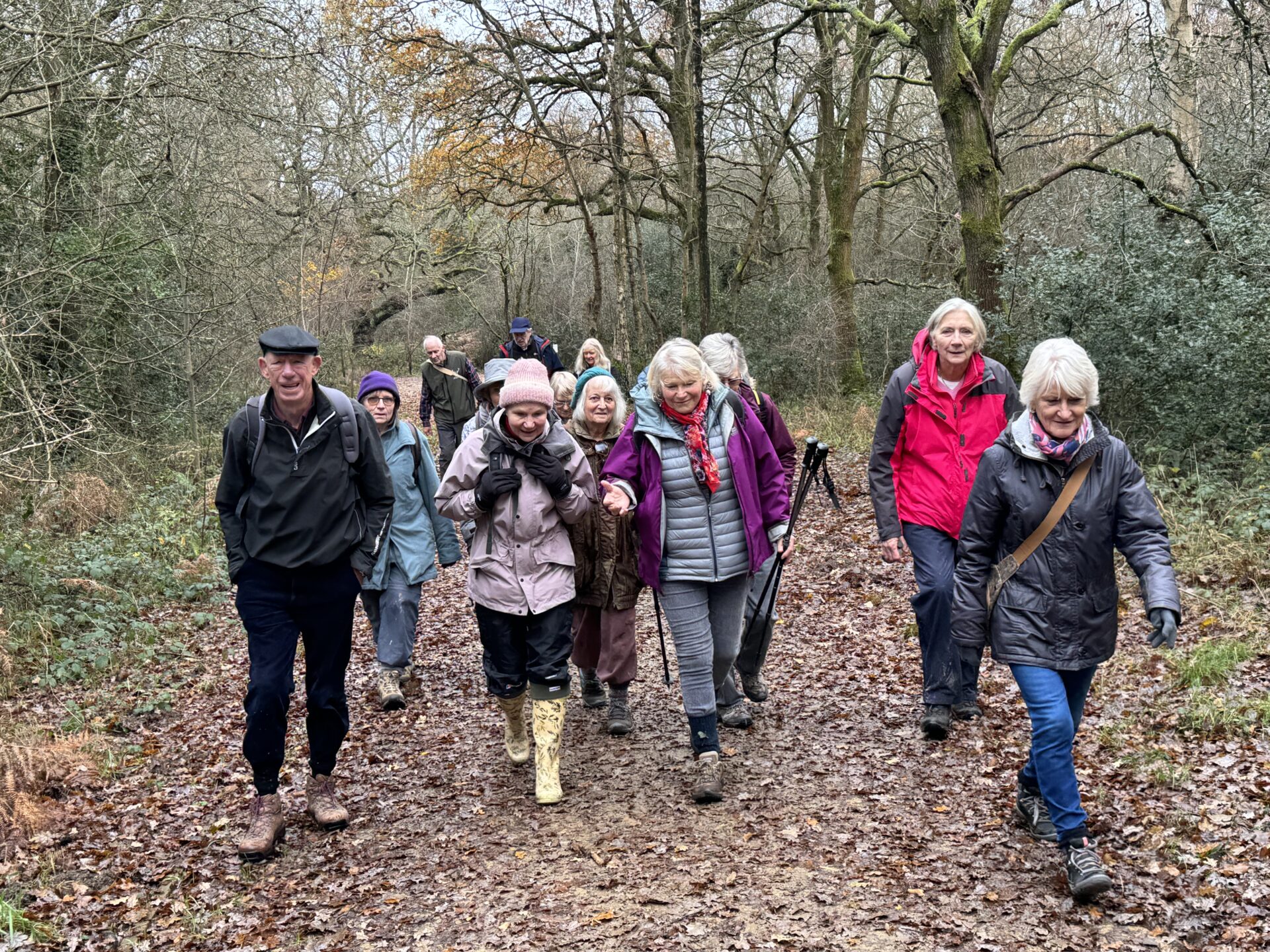 Groups - Ashtead